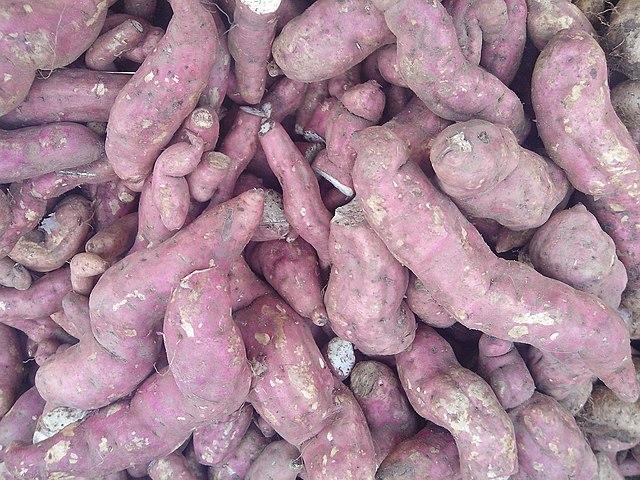 வள்ளி - வள்ளிக் கிழங்கு | அகராதி | tamil dictionary | சொலல்வல்லன்